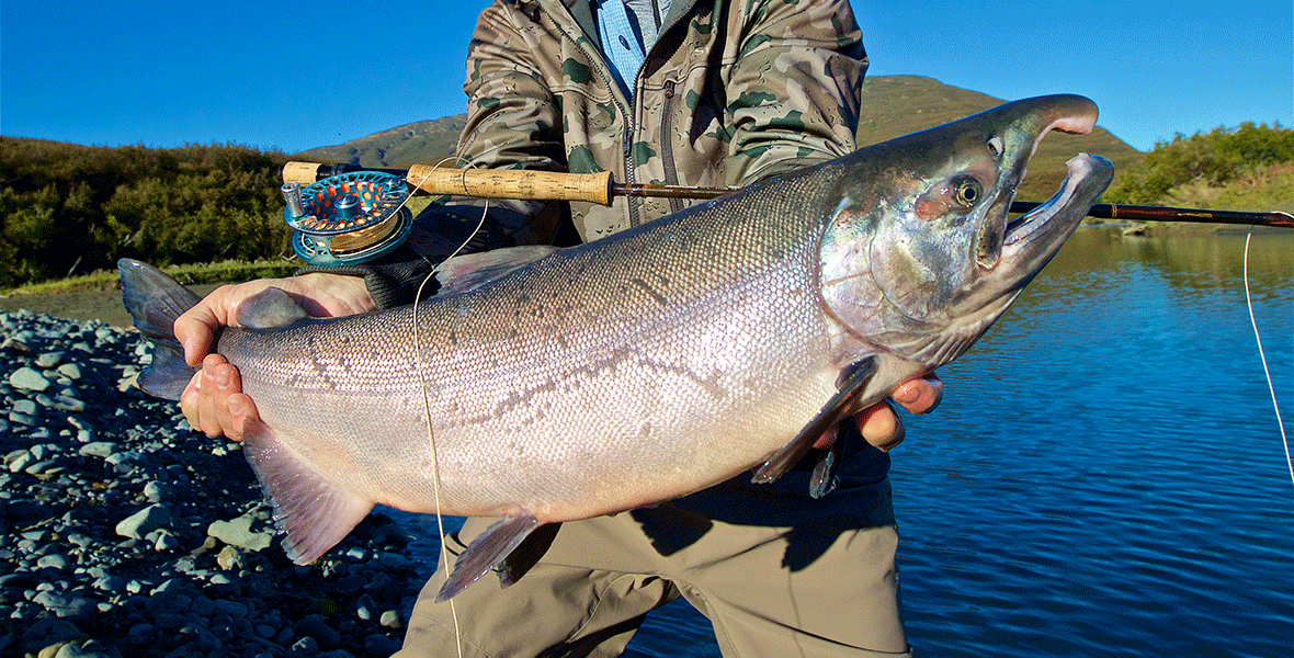 Coho Salmon Fishing Trips in Alaska at Rainbow King Lodge