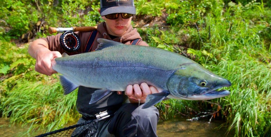 The Best Alaska Sockeye Salmon Fishing - Rainbow King Lodge